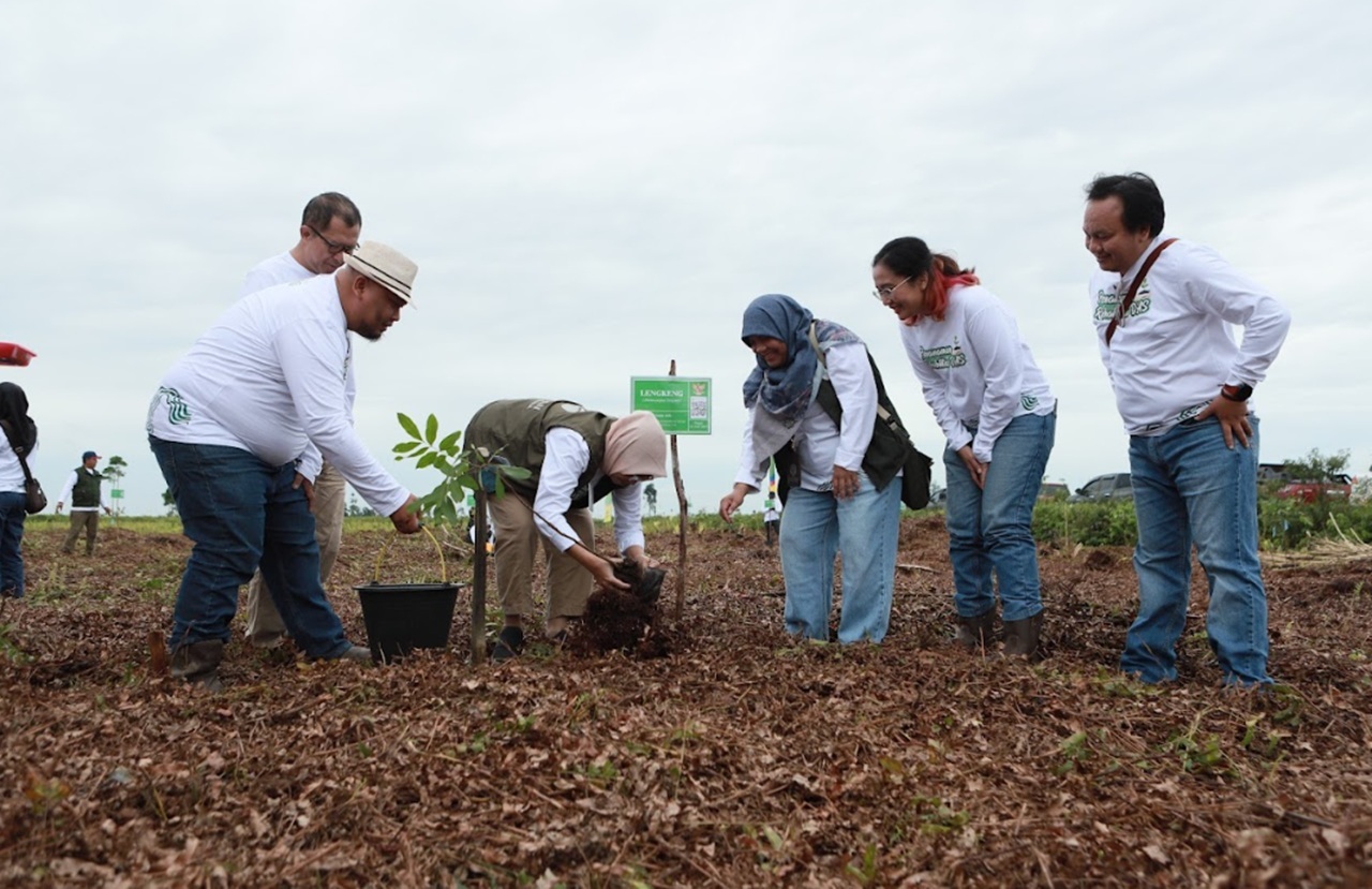 PT SAS dan Group Rehabilitasi Hutan Gambut Jambi 2.018 Ha, Direktur ...